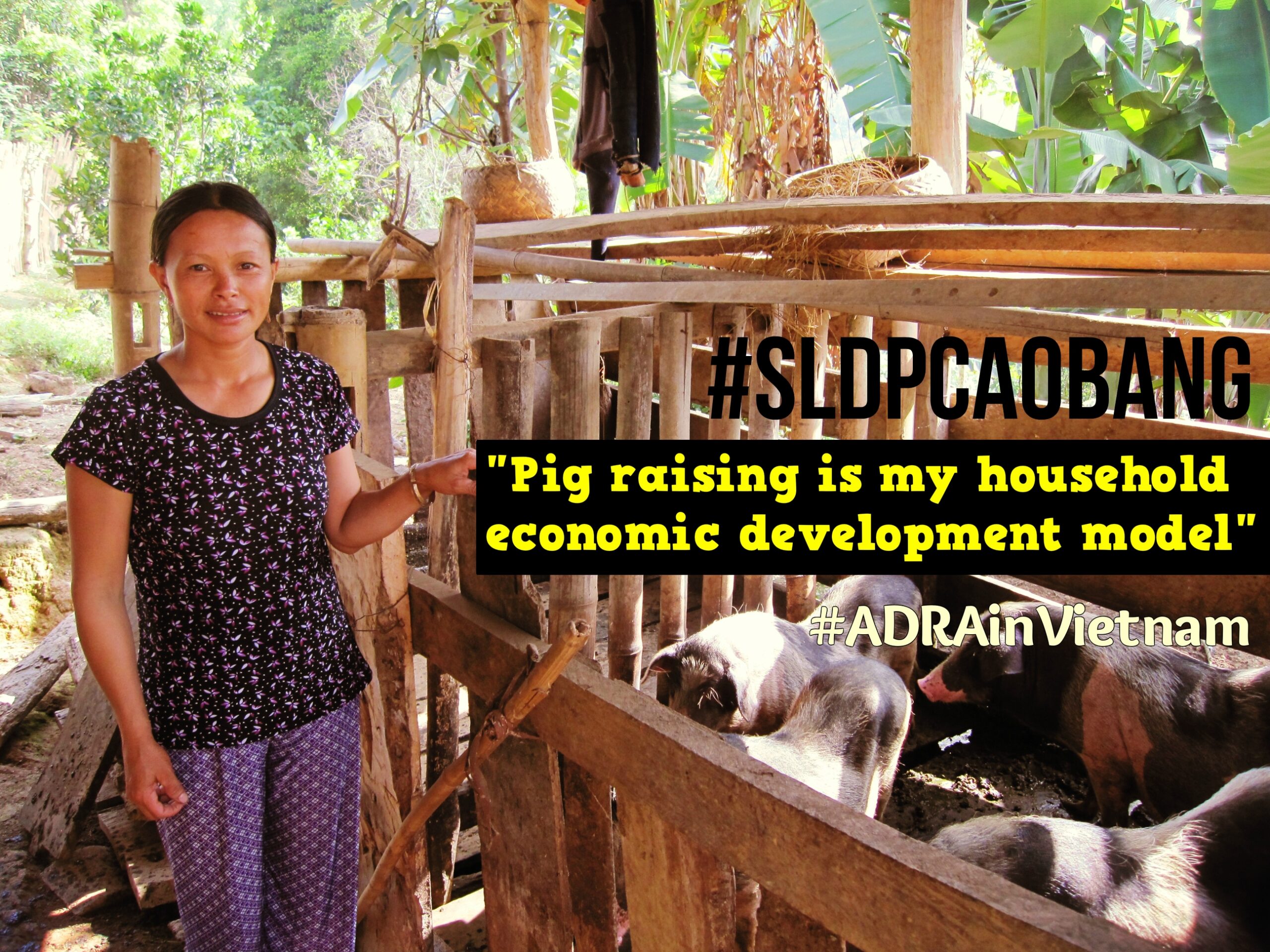 Sustainable Livelihood Development Project (SLDP) | ADRA Vietnam